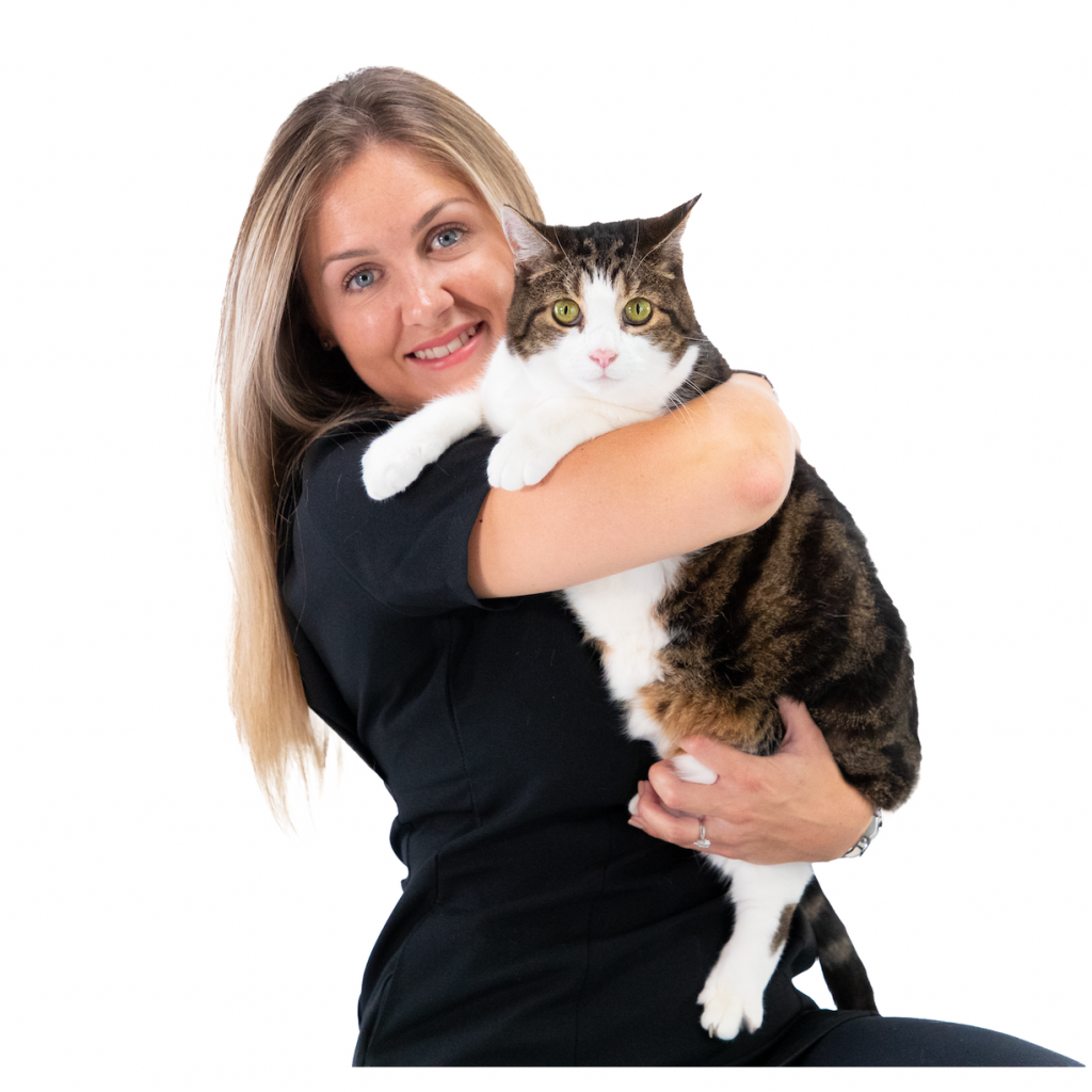 We have achieved our ISFM Gold Standard Feline Friendly Clinic Status ...