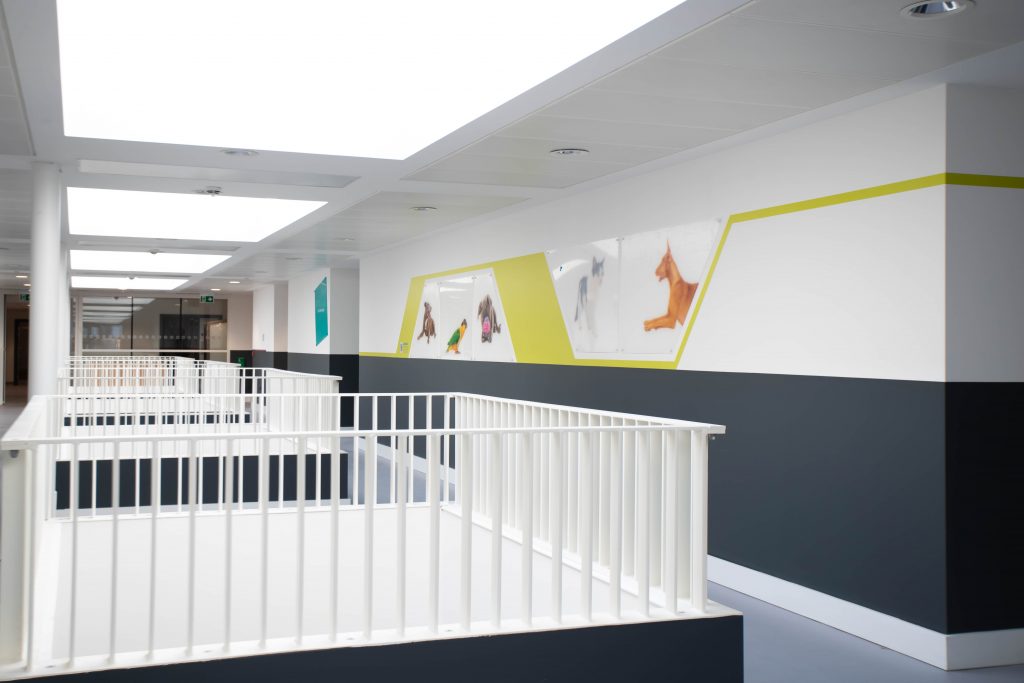 Southfields Opens Doors of Industry-Leading £16m Animal Hospital ...