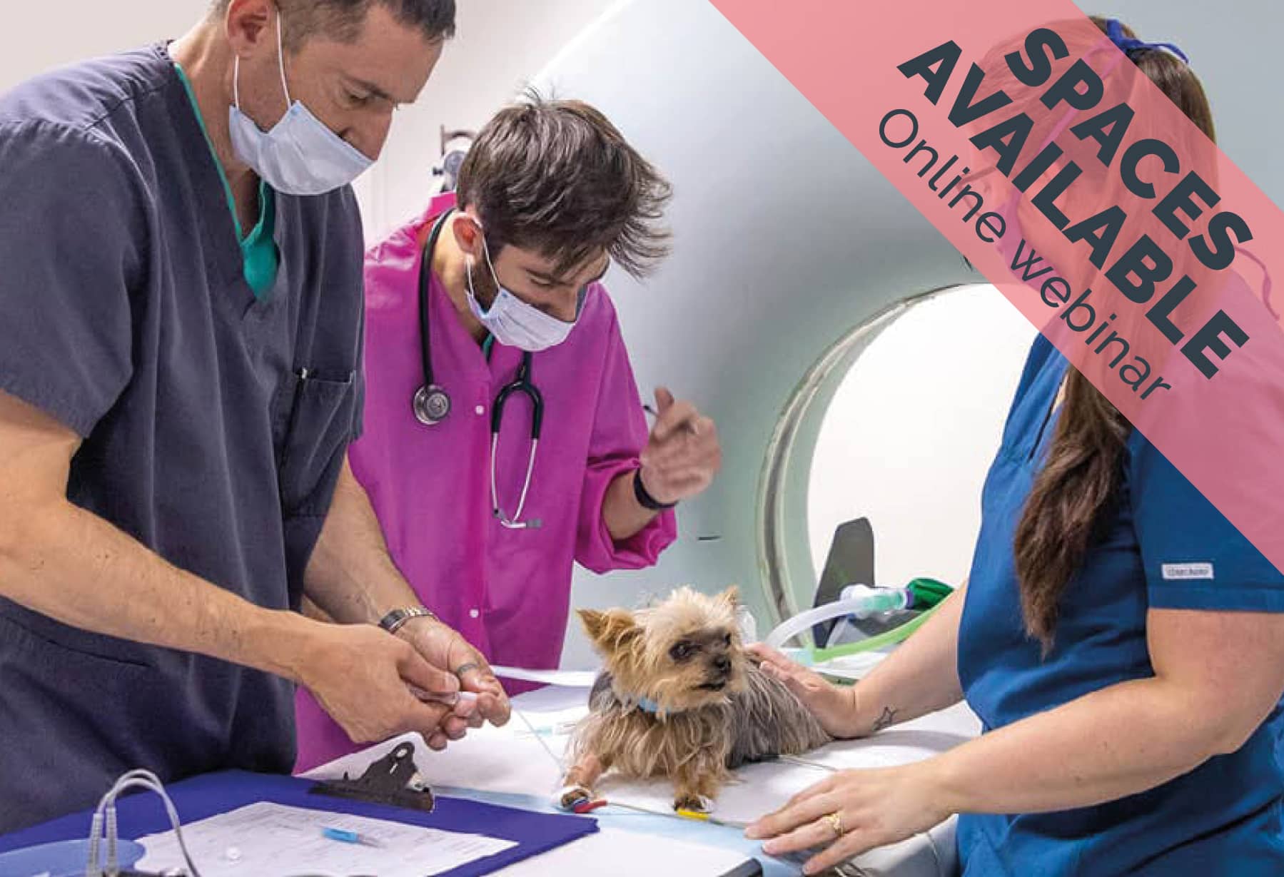 ECC CPD Webinar - Stabilising the Emergency Patient - Southfields